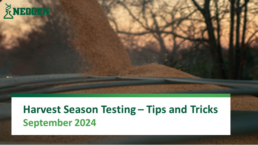 Harvest Season Mycotoxin Testing: Tips & Tricks