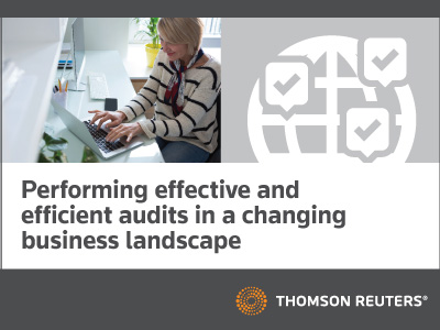 Performing effective and efficient audits in a changing business landscape