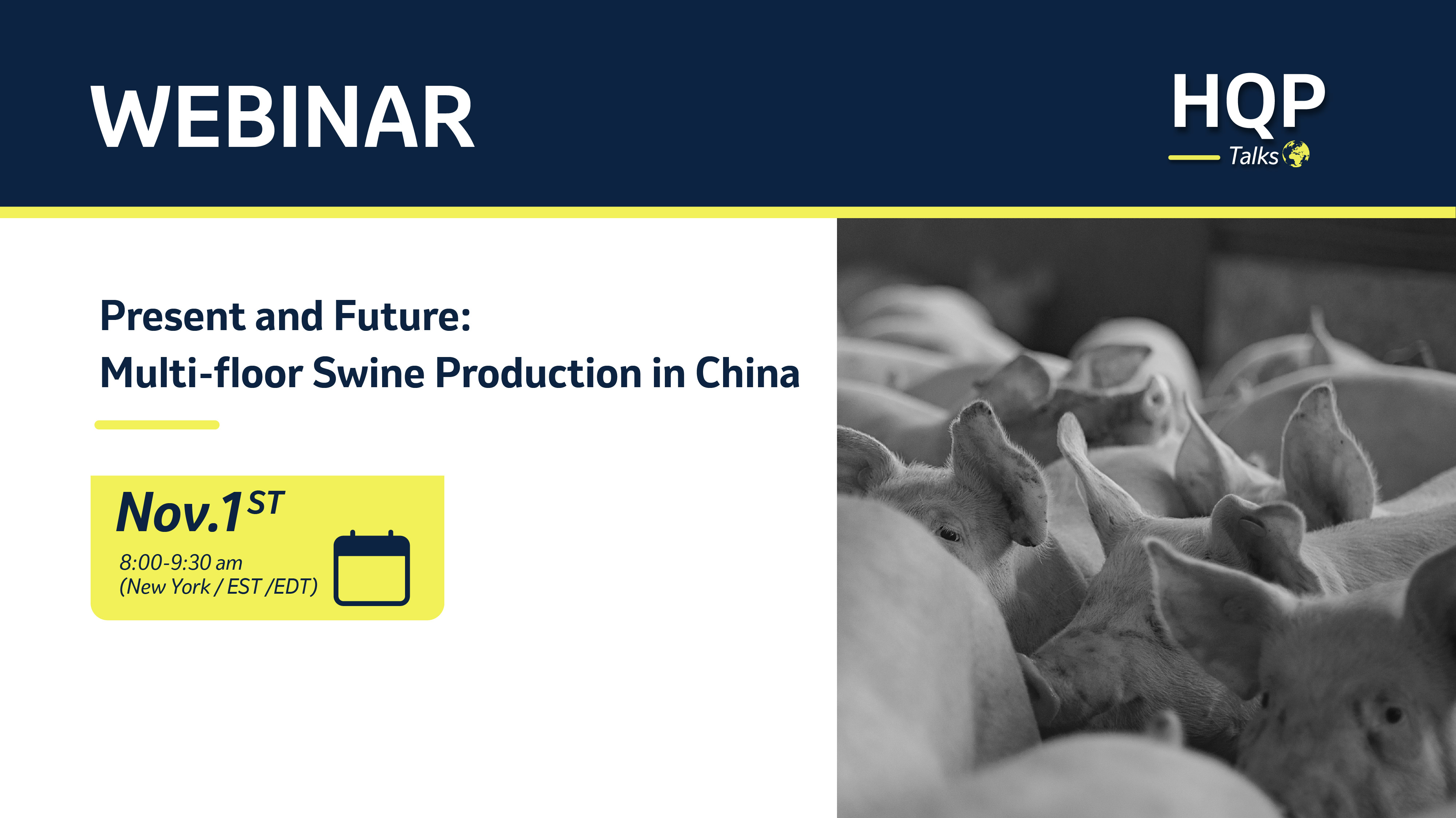 Present and Future: Multi-floor Pig Production in China