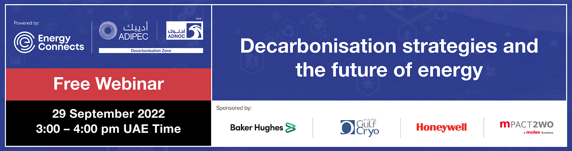 Decarbonisation strategies and the future of energy