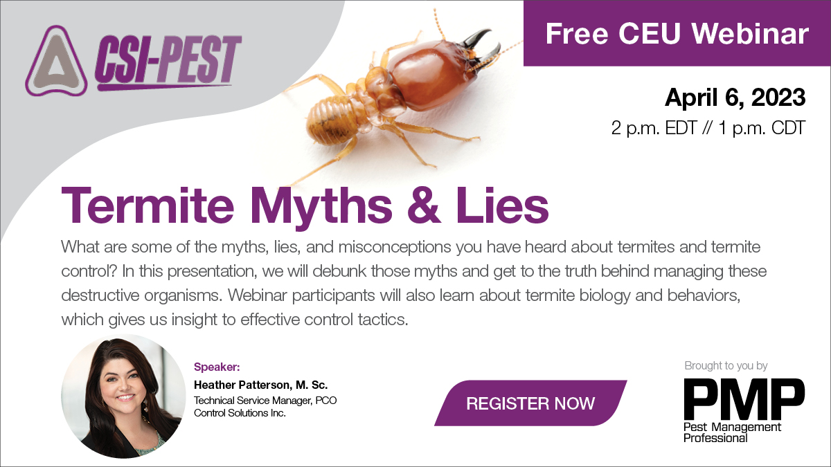 Termite Myths & Lies