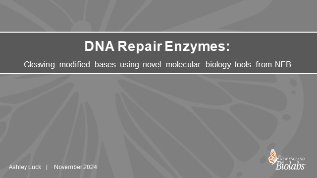 DNA Repair Enzymes: Cleaving modified bases using novel molecular ...